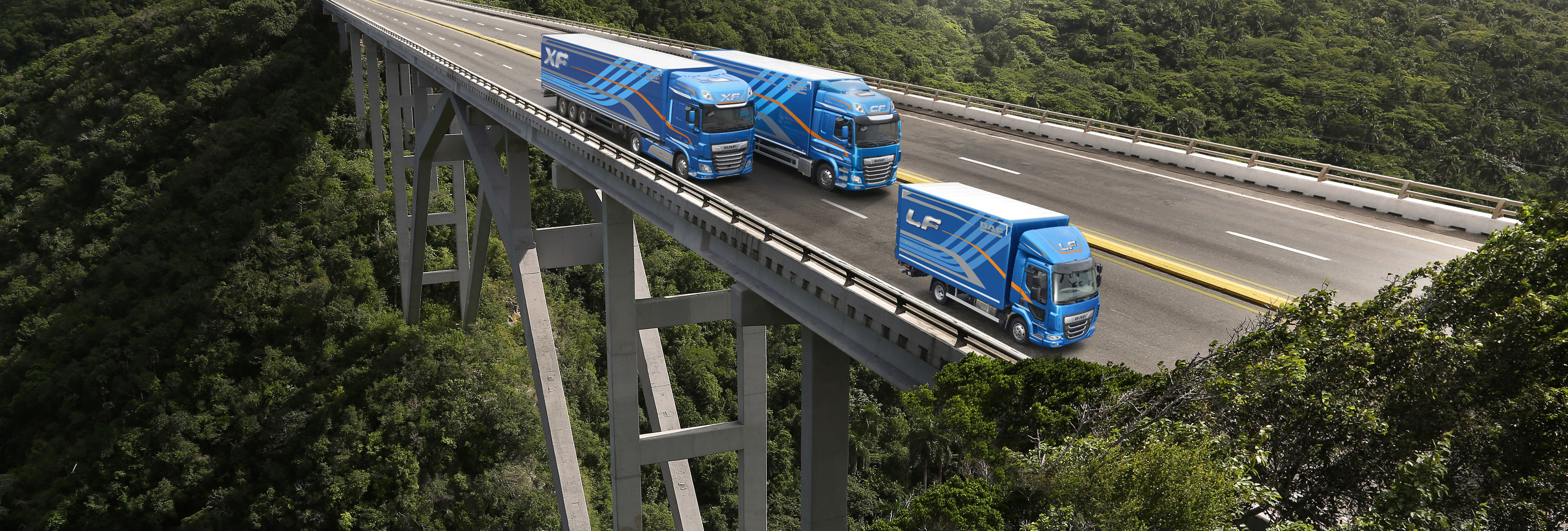 Lkw - DAF Dealers